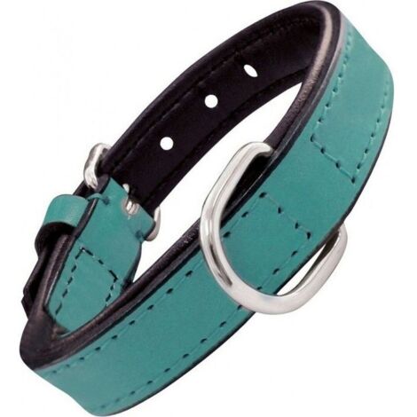 Dog Collar - NC - Gloria - Padded - Turquoise - 50 x 2.5 cm