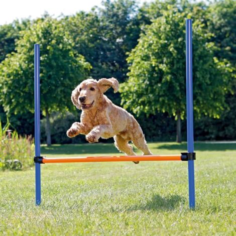Agility Hurdle 123x115 cm Plastic 3207 TRIXIE