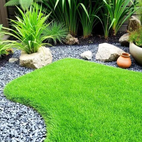 Gazon À Semer Ombre et Zones Fraîches 1kg (30–40 m²) – Pousse Rapide ...