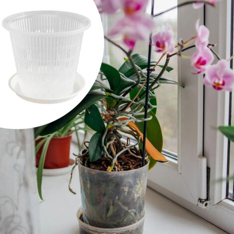 Pot à orchidées, pot de 16 centimètres