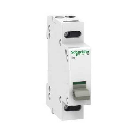 Interruttore Sezionatore Isw 2P 20A 415V Ca 50/60Hz 4Kv Ip4
