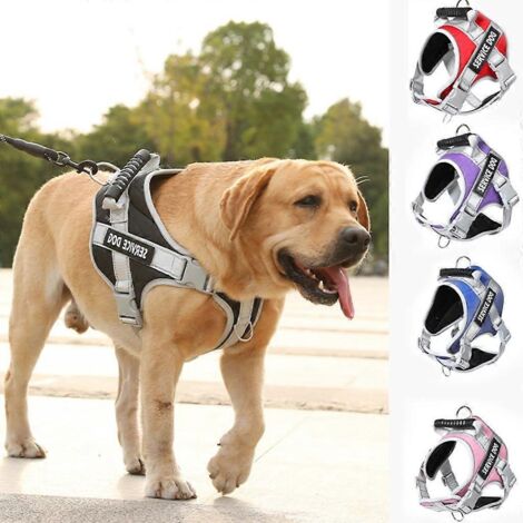 Harnais anti-traction grand chien avec laisse réfléchissante XL Bleu ...