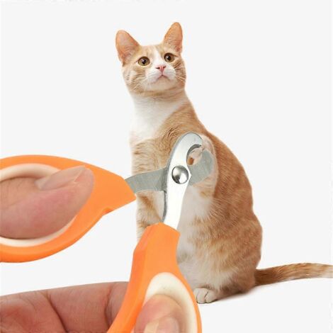 Coupe-ongles professionnel pour animaux de compagnie, lame en acier ...