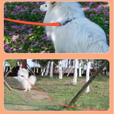 Laisse résistante pour chien de 3 à 15 mètres (10 à 50 pieds), anti ...