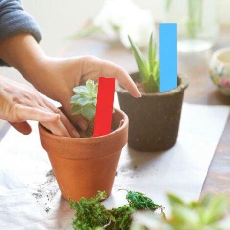 100pcs PVC Plant Flower Pot Tags Markers Nursery Garden Seed Sign ...