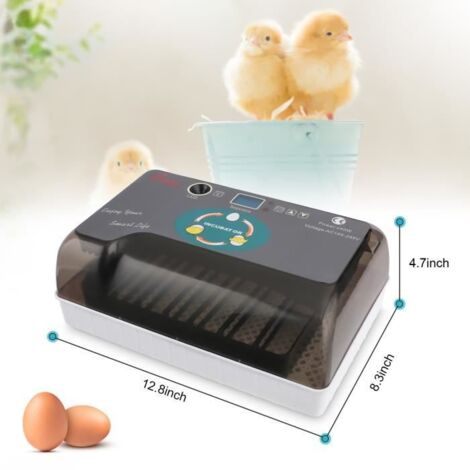 Couveuse automatique pour elevage de volailles et eclosion de 12 oeufs ...
