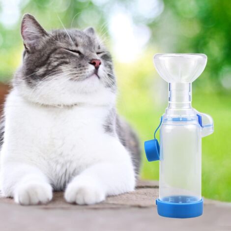 Chambre d'inhalation pour chat avec valve respiratoire et masque ...