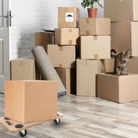 AREBOS 6x Rolkar Meubelkar Verplaatsingsplatform Transportkar Dolly 200kg