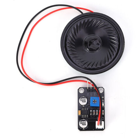 Module Amplificateur Audio Haute Puissance pour Blocs Électroniques R3 ...