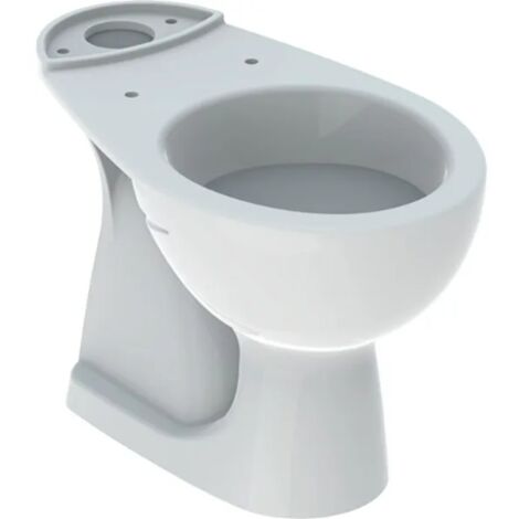 Stand-WC 36x62,5 Monoblock glänzend weiß - Geberit Colibrì - Con copri ...