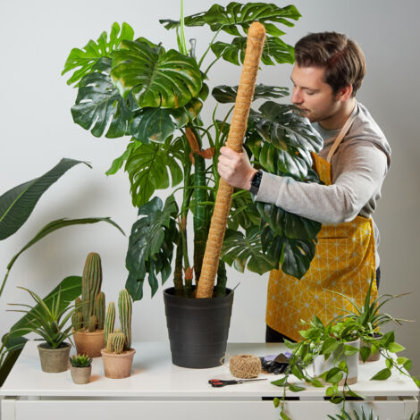 Relaxdays Kokosstäbe 5er Set, biegsame Pflanzenstäbe, für Monstera ...