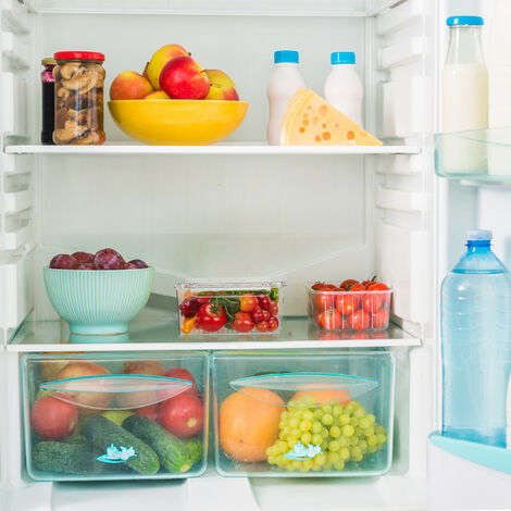 Relaxdays 3x Fridge Organisers, in 2 Sizes, Easy-care, Refrigerator ...