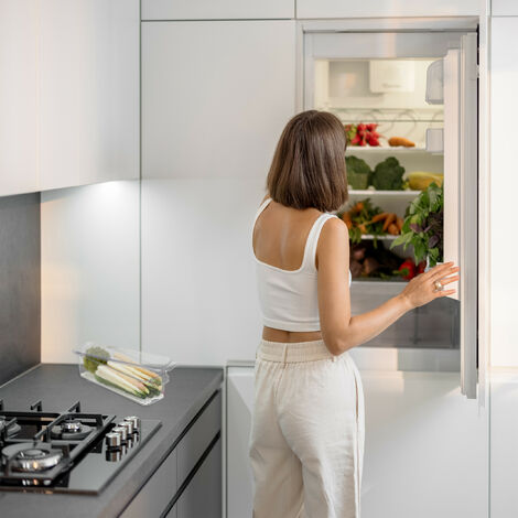 Relaxdays 3x Fridge Organisers, in 2 Sizes, Easy-care, Refrigerator ...