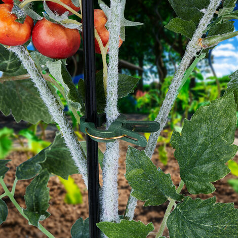 Relaxdays Plant Clips, 120x Set, Gardening, Small, 3 x 4 cm, Spring ...