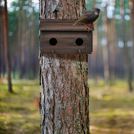 Relaxdays Nesting Box for Starlings, Natural Fir Wood, 2 Entrances Ø5 ...