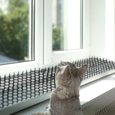 Relaxdays Thorn Grid, Set of 12, Pigeon & Cat Defence, Protection for ...