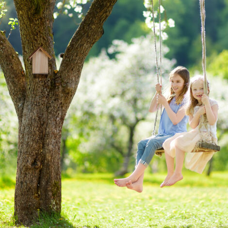 Relaxdays Ladybird House, Wood, HxWxD: 22.5 x 19 x 12.5 cm ...