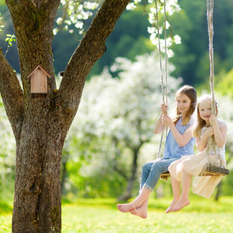 Relaxdays Ladybird House, Wood, HxWxD: 23 x 19 x 12.5 cm, Weatherproof ...