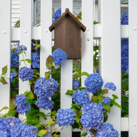 Relaxdays Ladybird House, Untreated Fir Wood, HxWxD: 22 x 17 x 10 cm ...