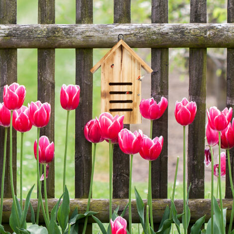 Relaxdays Ladybird House, Wooden, HWD: 25 x 18.5 x 12 cm, Weatherproof ...