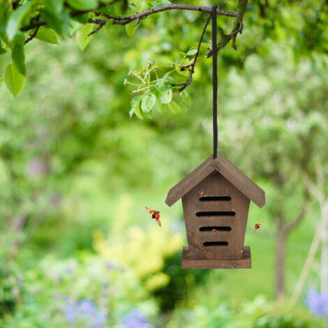 Relaxdays Ladybird House, Wood, HxWxD: 17.5 x 14.5 x 12 cm ...