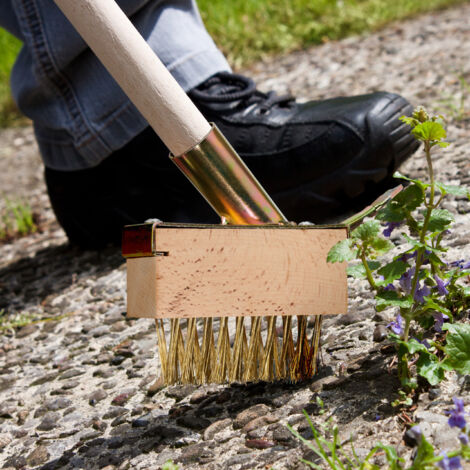 Relaxdays Set of 2 Weed Joint Brushes, Moss Removal, Steel Bristles ...