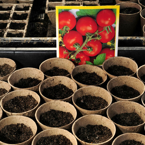 Relaxdays Propagator Pots Set of 120, Biodegradable, Cellulose, HxØ: 7 ...