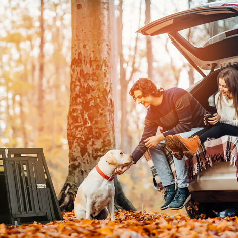 Relaxdays Dog Box Car, Double Dog Transport Crate, Boot, Slanted ...