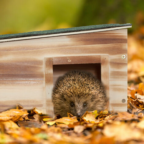 Relaxdays Hedgehog House, Hedgehog Hotel With Base, 2 Chambers, Winter ...