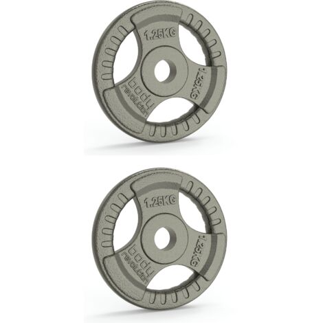 Body Revolution Disques de Poids 2 x 1,25 kg – fonte avec finition ...