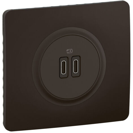 Prise 2 USB Céliane 20W Power Delivery Type-C+C enjoliveur Noir et ...