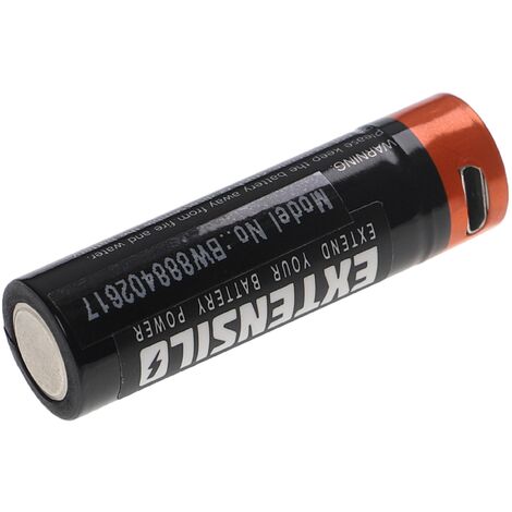 EXTENSILO Pile rechargeable AA mignon (AA) avec prise micro-USB (920mAh ...