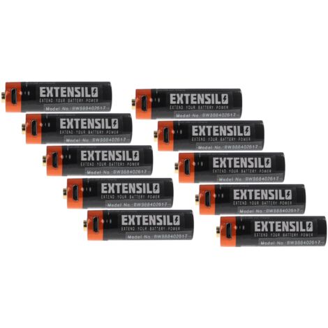 EXTENSILO 10x Piles rechargeables AA mignon (AA) avec prise micro-USB ...