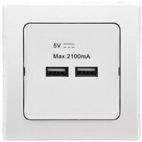 DELPHI USB-Ladedose 2xUSB, 2A, 10A/250V, mit 1-fach-Rahmen