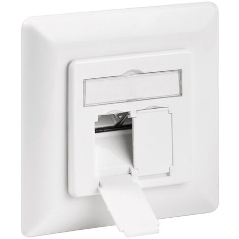 GOOBAY CAT.6a Datendose 2-fach, UP, weiß