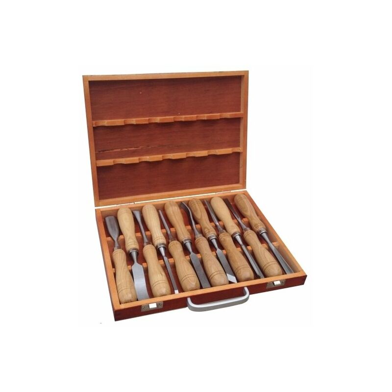 Sgorbie e scalpelli a taglio per legno professionali set 12 pz in valigetta
