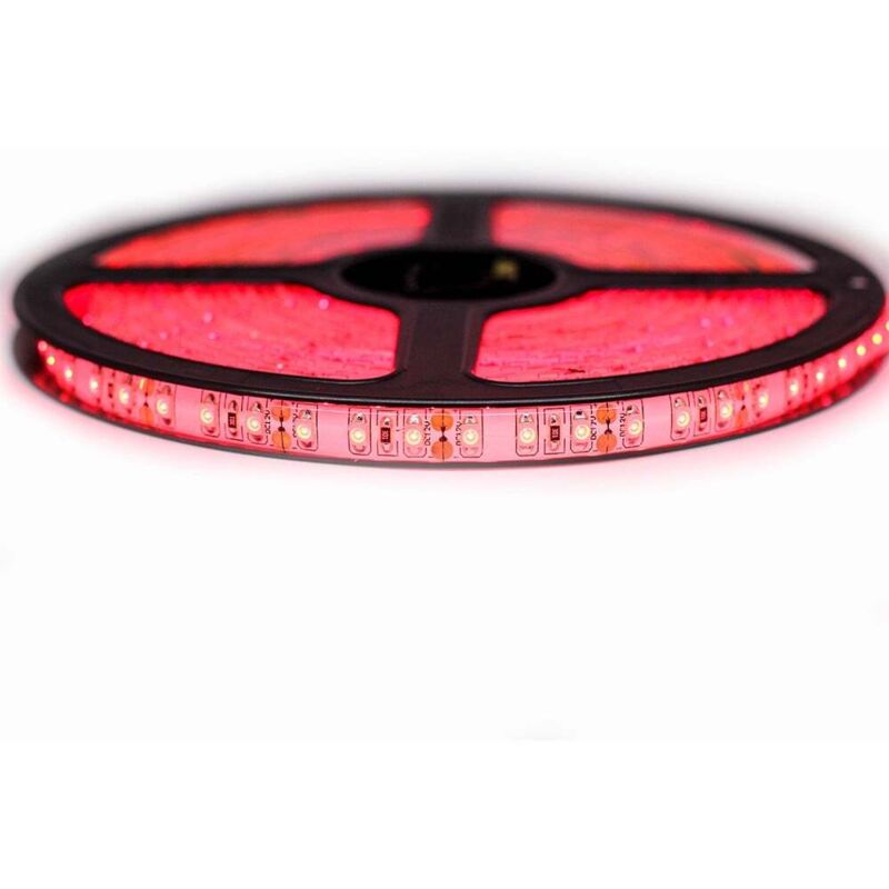 Kit Ruban Professionnel 3528 - 120 leds/m - 5 mètres rouge anti ...