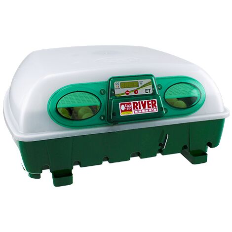 Couveuse Semi-automatique Digitale Volailles Et 49 Capacité 49 Œufs ...