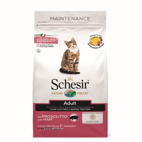 Schesir Dry Cat Mantenimento per Gatto Adult con Prosciutto