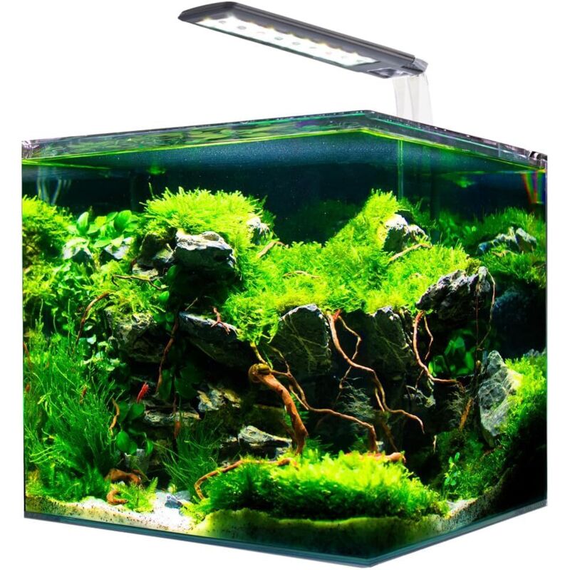 Acquario in vetro Amtra Nanotank system 36 con angoli frontali ...