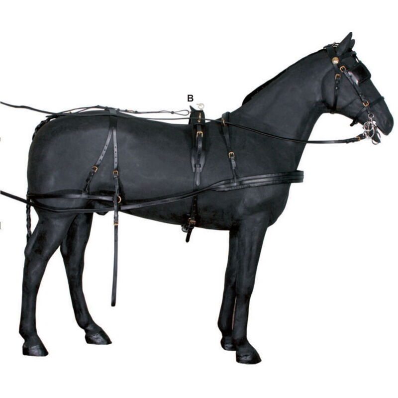 Finimento singolo completo in cuoio per pony: Pony, Nero