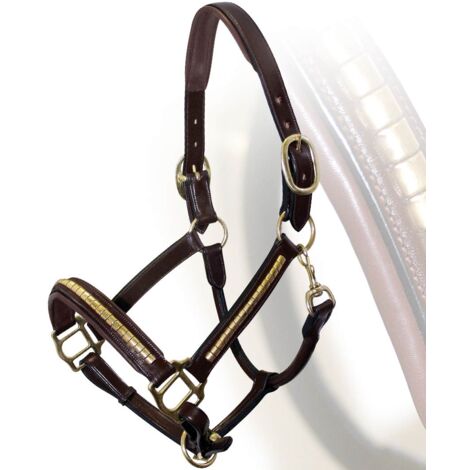 Cavezza gold in cuoio inglese con clincher e fibbie in ottone lucido ...