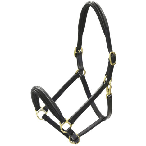 Cavezza profilata in cuoio con doppia fibbiera in ottone: Cob, Nero