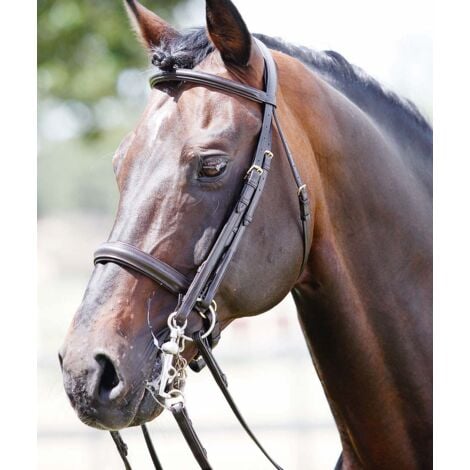 Briglia in cuoio anallergico per morso e filetto con frontalino e ...