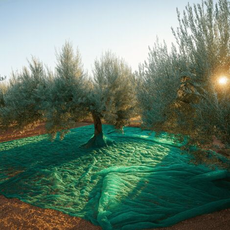 Telo rete raccolta olive 5 pz. mt.8x8 antispina con spacco e con ...