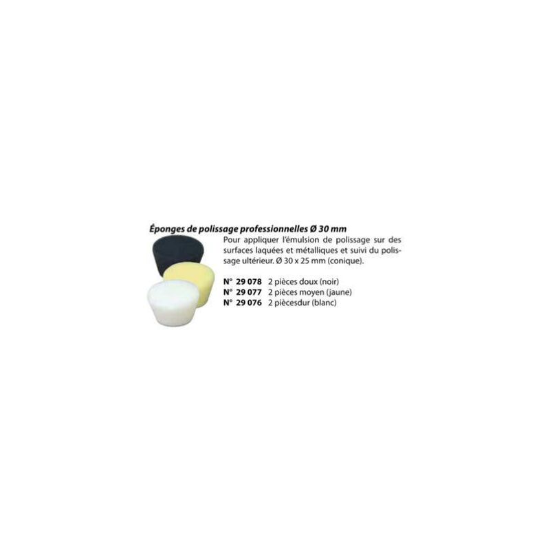 Eponges de polissage professionnelles diam 30mm - Proxxon - choix : 2 ...