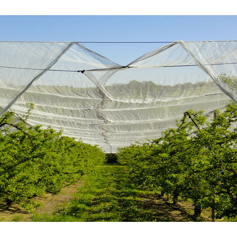 Direct Filet – Filet anti-grêle 12x12m – Protection contre intempéries ...