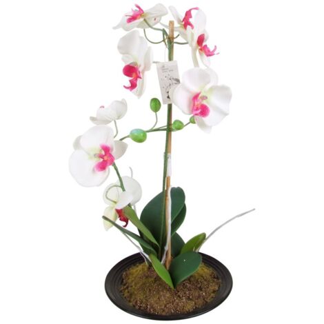 Künstliche Orchidee 2 Rispen Weiß/Pink 50cm Kunstblume Phalaenopsis ...