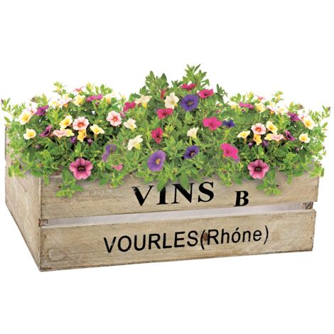 Deko Holzkisten-Set Blumenkasten Pflanzkasten Obstkisten Gemüsekiste ...