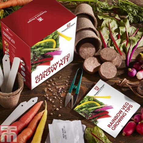 Seed Grow Kit Rainbow Veg